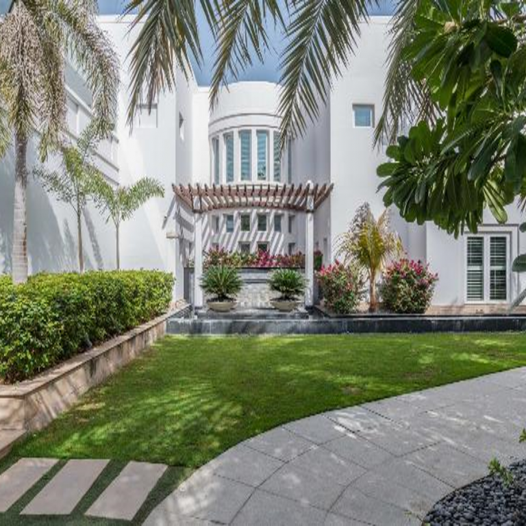 Green Dunes – Landscape and Waterscape